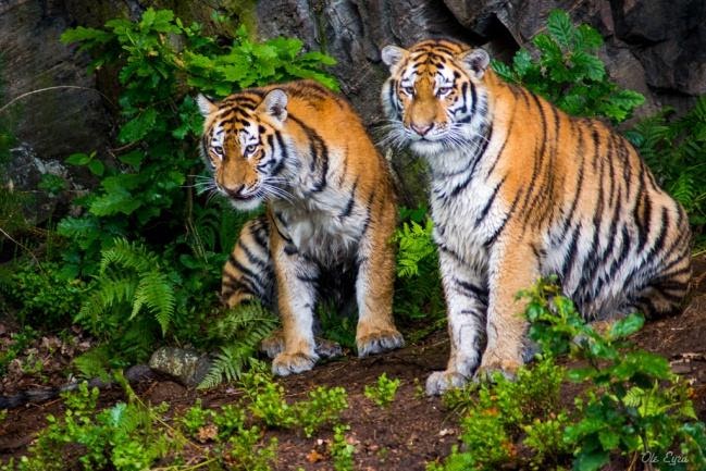 Latest Events – C. P. R. Environmental Education Centre